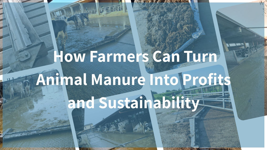 How Farmers Can Turn Animal Manure Into Profits and Sustainability ...