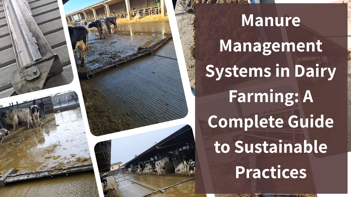 Manure Management Systems in Dairy Farming : A Complete Guide to Susta
