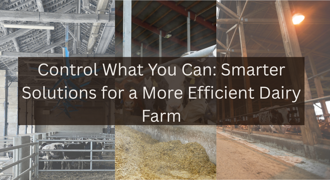 Smarter Solutions for a More Efficient Dairy Farm