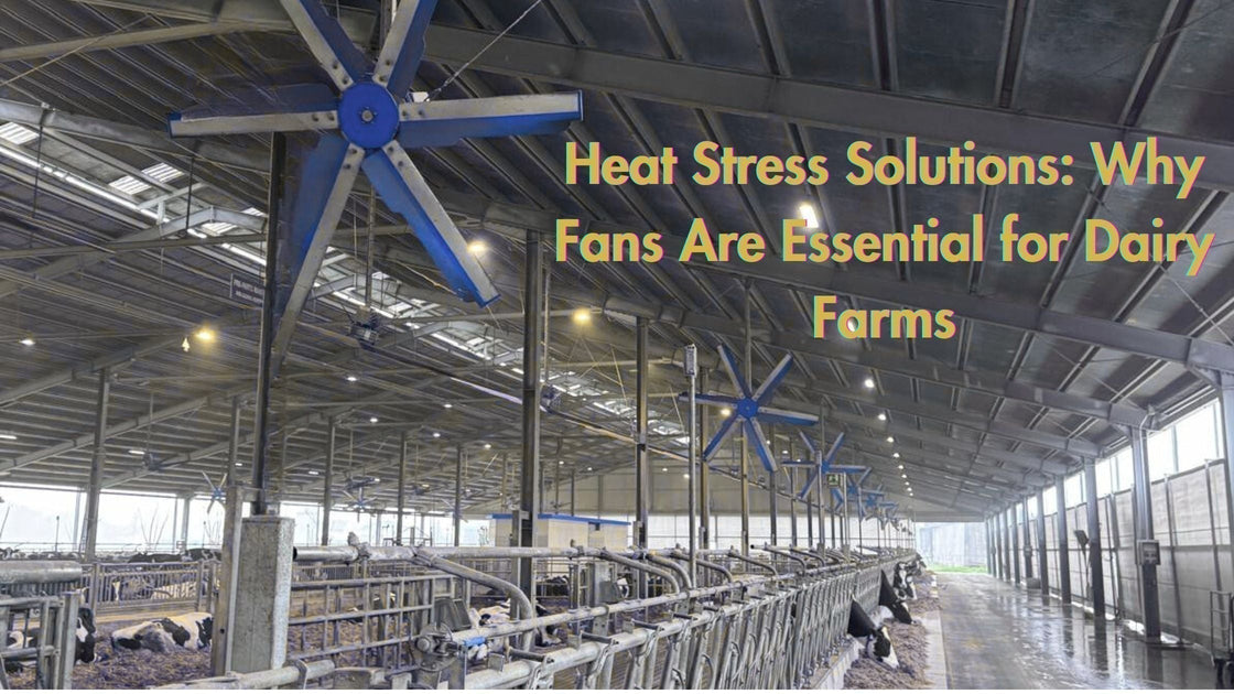 Heat Stress Solutions: Why Fans Are Essential for Dairy Farms – Delmer ...