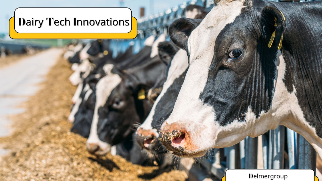 Dairy Tech Innovations | Delmer Group