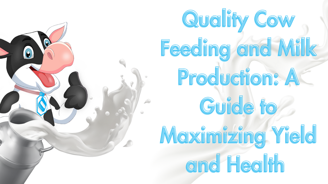Quality Cow Feeding and Milk Production: A Guide to Maximizing Yield a