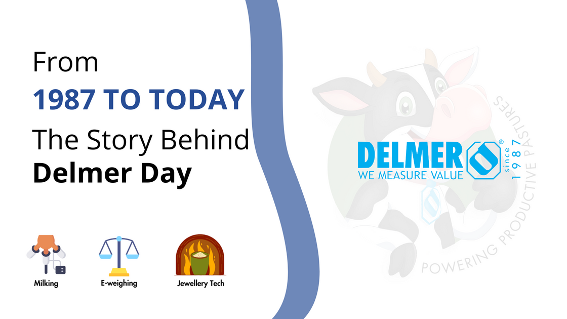 From 1987 to Today – The Story Behind Delmer Day – Delmer Group