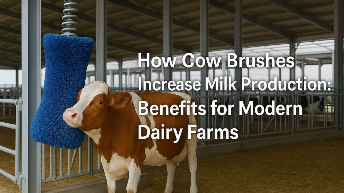 How Cow Brushes Increase Milk Production: Benefits for Modern Dairy Fa ...