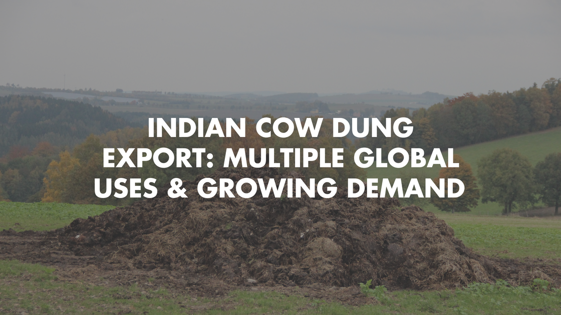 Indian Cow Dung Export: Multiple Global Uses & Growing Demand