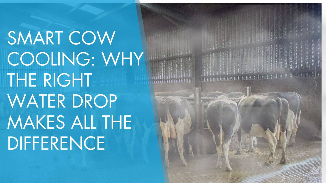 Smart Cow Cooling : Why the Right Water Drop Makes All the Difference