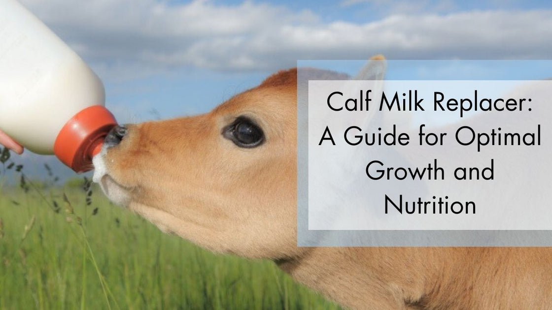 Calf Milk Replacer: A Guide for Optimal Growth and Nutrition