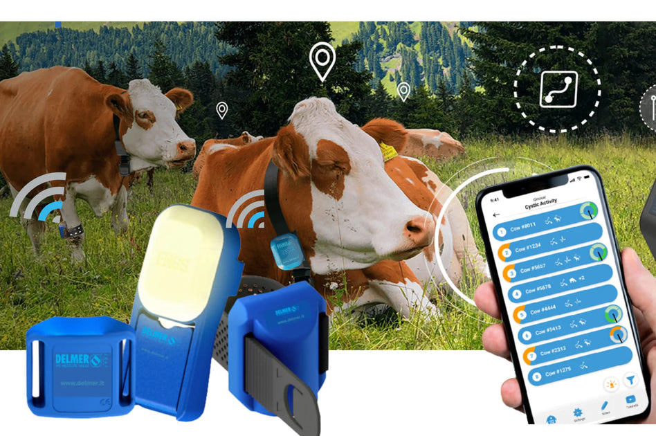 Supercharge Your Farm with Herd Management Systems