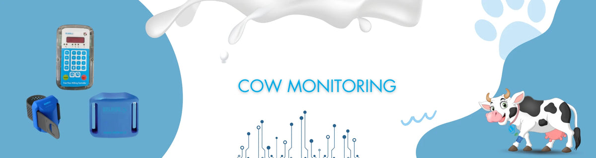 Cow Monitoring Systems | Delmer Group