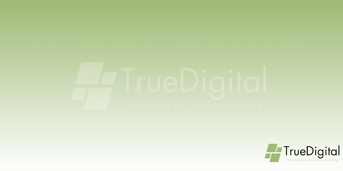 Weigh Bridges and Truck Scales Online | Quality Weigh Bridges