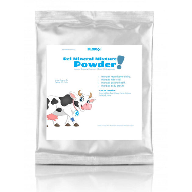 Del Mineral Mixture Powder (1 Kg) – Delmer Group