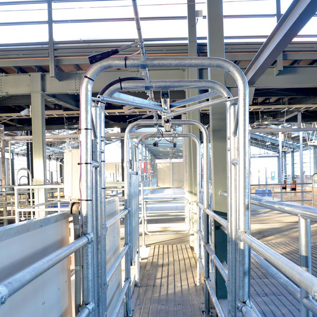 Delmer Sorting Gates for Cattle