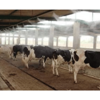 Dairy Farm Ventilation & Sprinkling System for Up to 50 Cows – Delmer Group