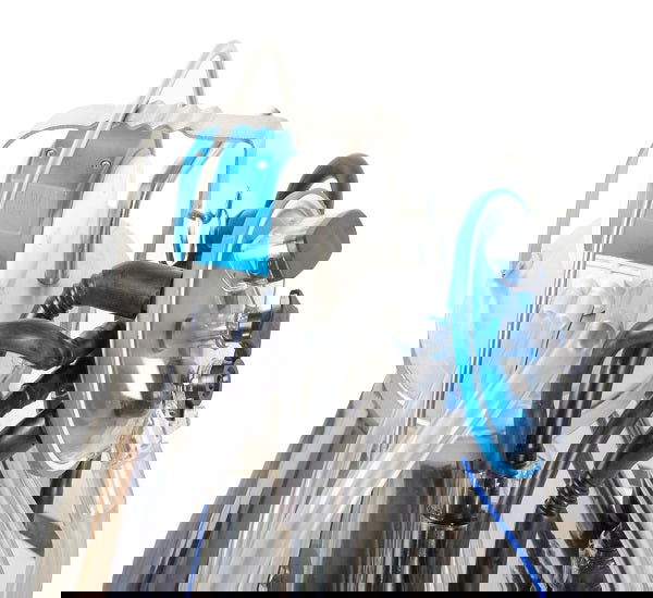 "Wally" Series Double Bucket Milking System (Fixed Type)