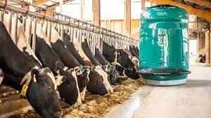 Cattle Shelter ( Portable Tunnel Type )