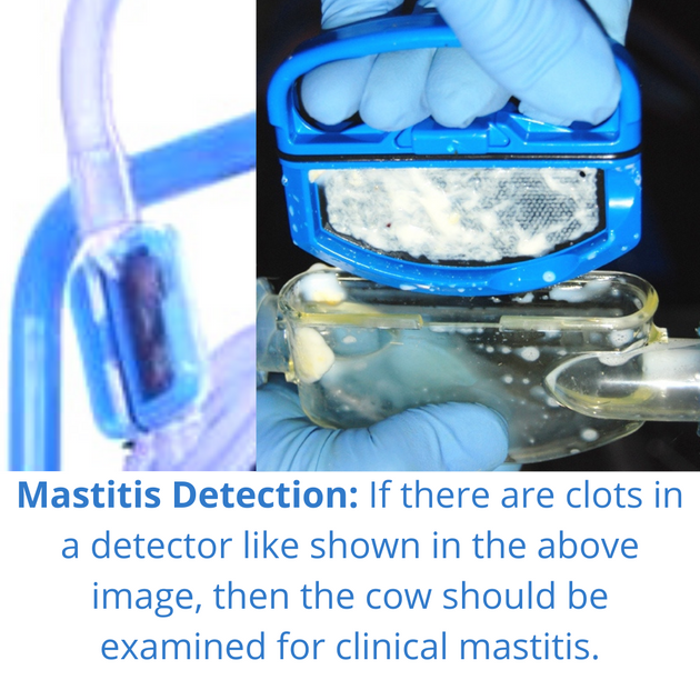 Delmer Single Bucket Milking Machine with Mastitis Detector